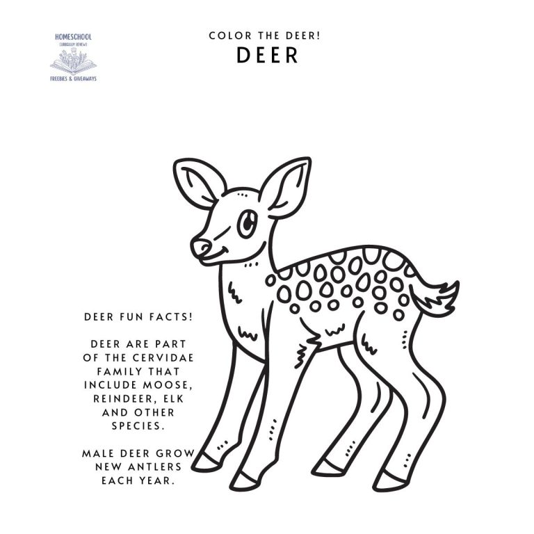 Animal Alphabet Coloring Pages with Fun Animal Facts - Homeschool ...